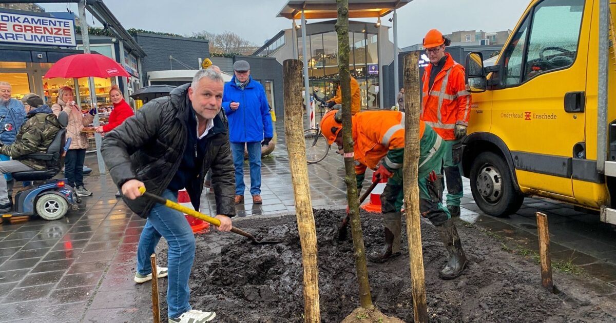 Wethouder poot eerste boom in strijd tegen hittestress in Enschedees ...